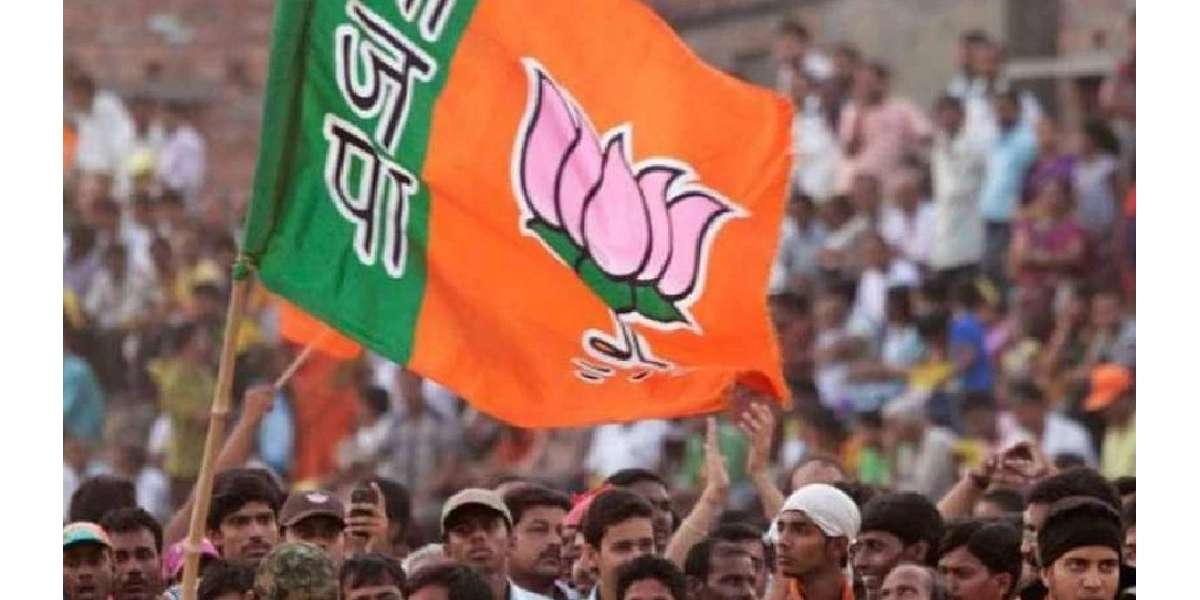 What Is Bjps New Target