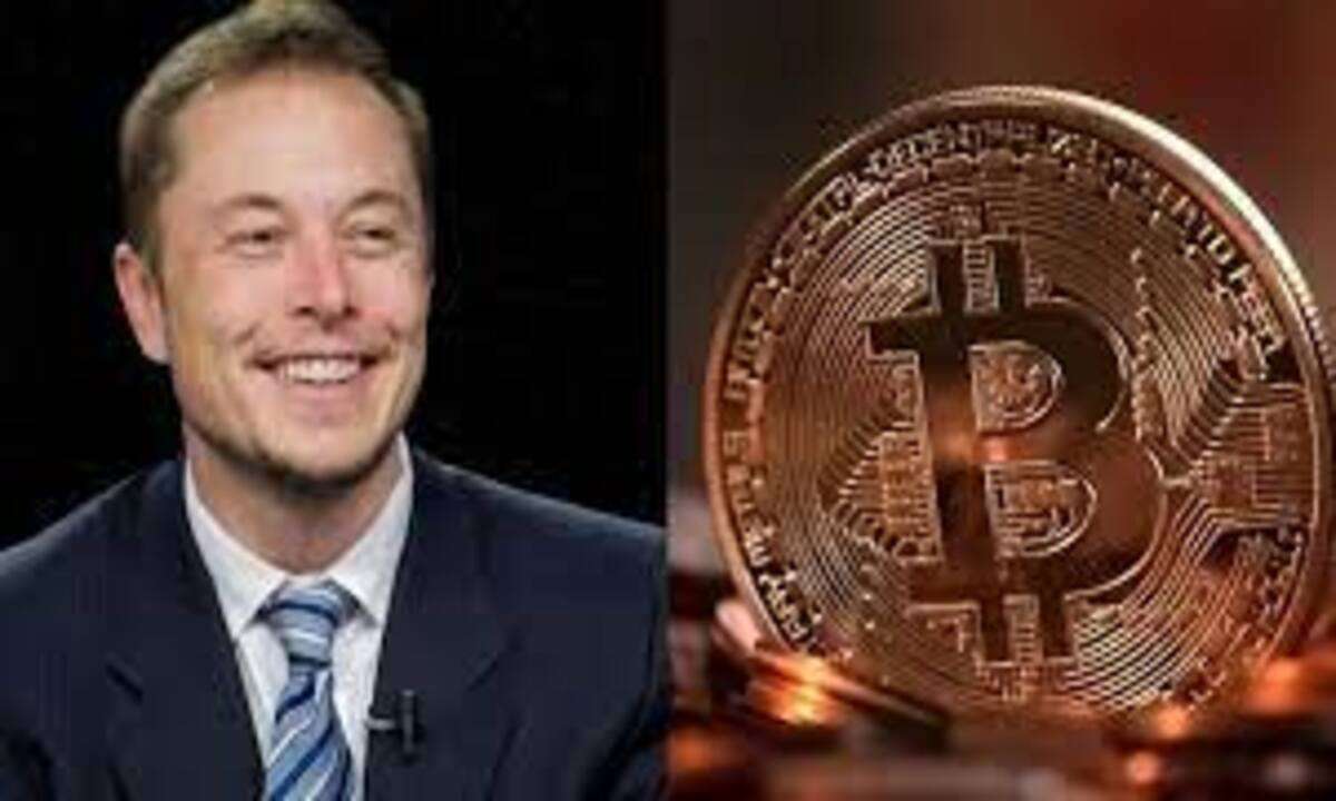 Elon Musk Effect On Bitcoin