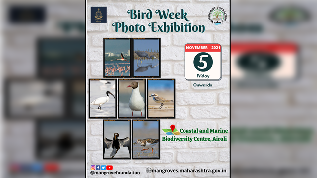 Bird Photography Exhibition By Mangroves Foundation