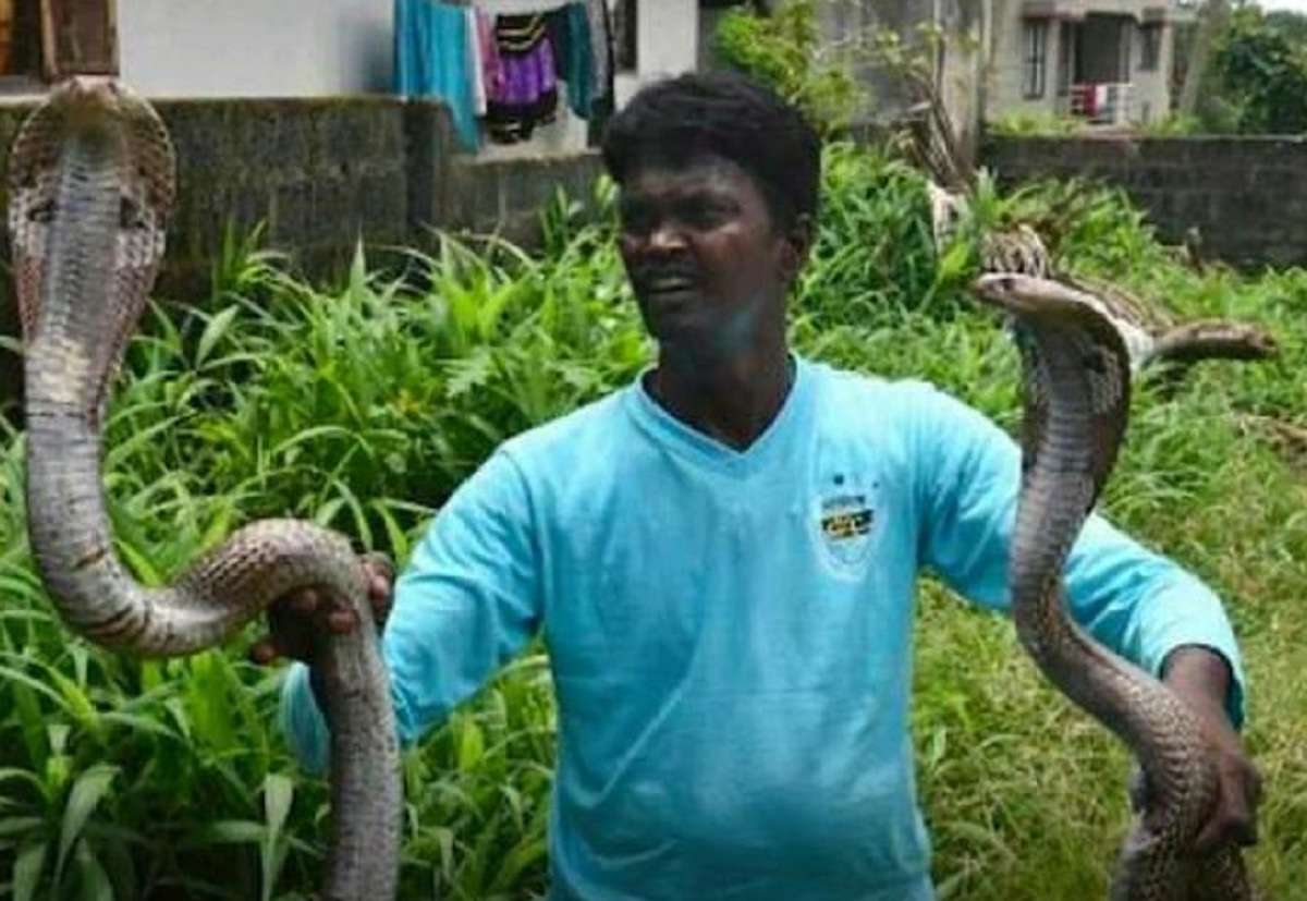 Who Is Snake Catcher Vava Suresh