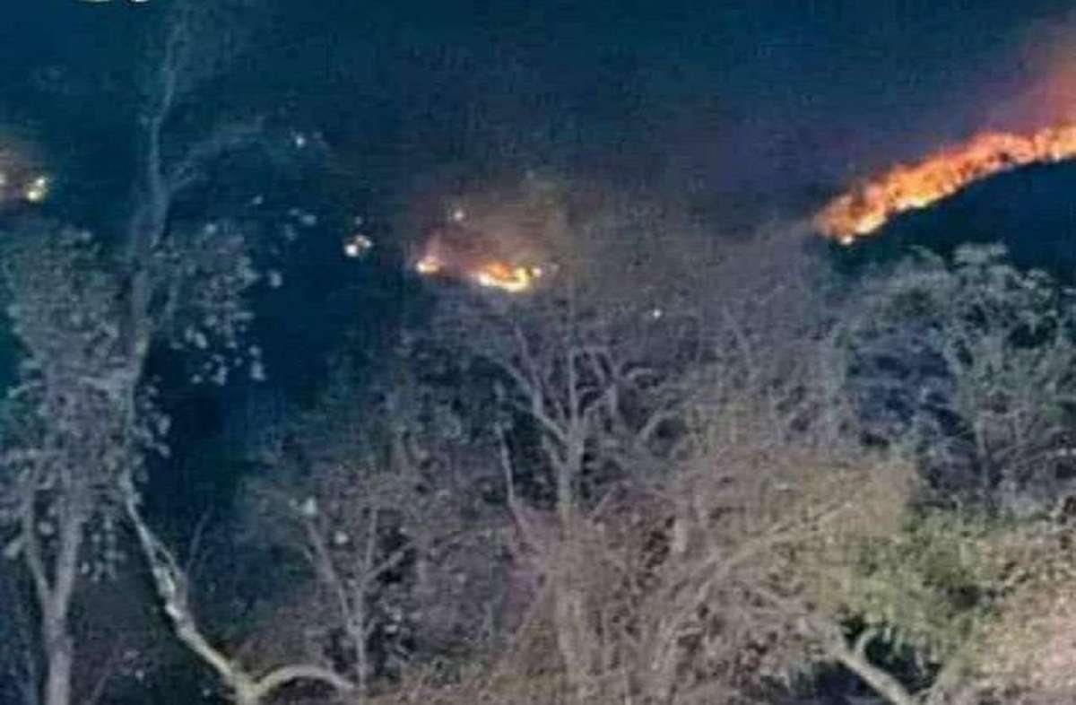Forest Officers Engaged In The Service Of Vips During Fire Caught In ...