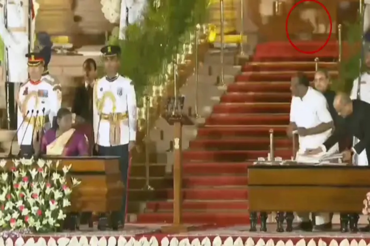 Leopard At Rashtrapati Bhavan Video Of Mystery Animal During Oath Goes ...