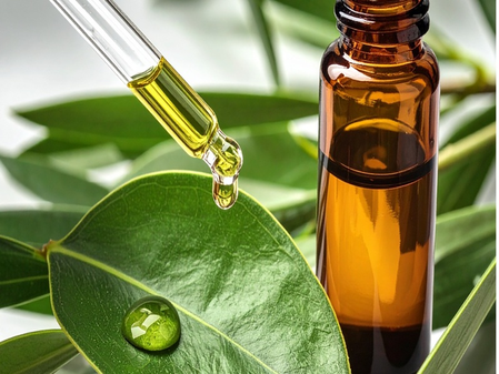 Know The Benefits Of Tea Tree Oil